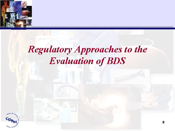 Regulatory Challenges for Biodegradable Scaffolds Approval Andrew Farb