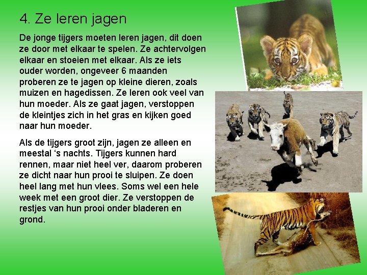 De Tijger De tijger dit zijn de hoofdstukken