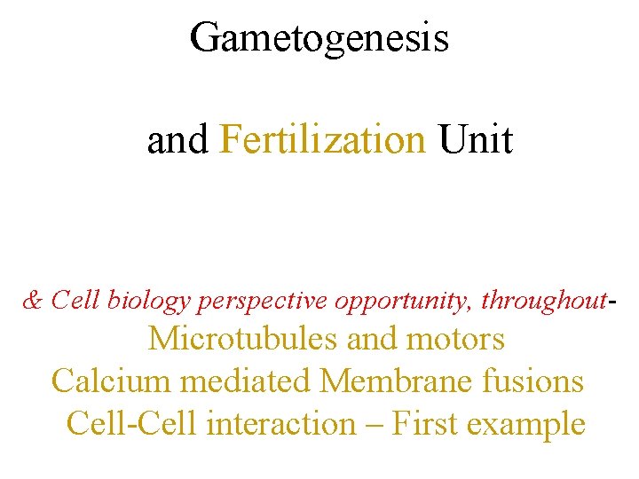 Gametogenesis And Fertilization Lab I Terms Biology 4401