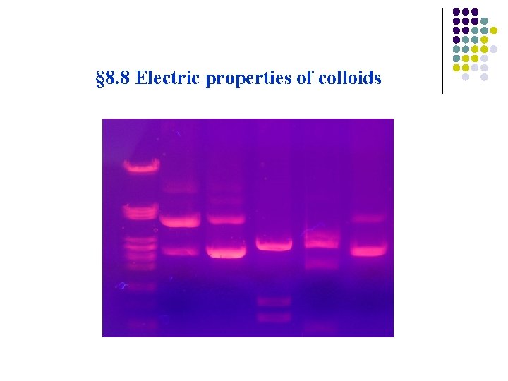 8 8 Electric properties of colloids 1 Electrokinetic