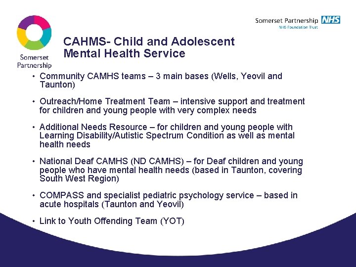 An Introduction to Specialist CAMHS in Somerset Mark