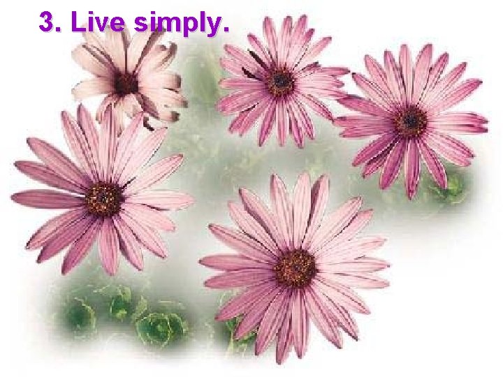 Remember the five simple rules to be happy