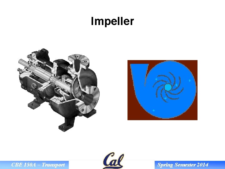 Pumps CBE 150 A Transport Spring Semester 2014