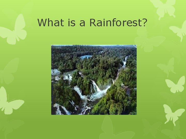 What is a Rainforest A rainforest is a
