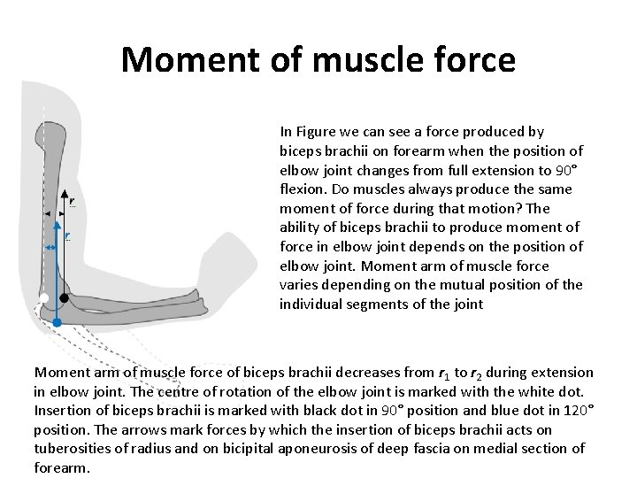Biomechanics 11 Moment of Force Daniel Jandaka Ph
