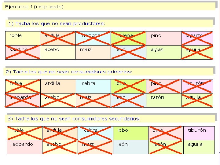 ECOSISTEMA COMUNIDAD METAPOBLACION INDIVIDUO POBLACION FLUJO GENETICO ...