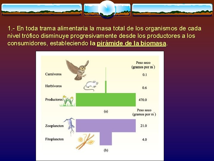 ECOSISTEMA COMUNIDAD METAPOBLACION INDIVIDUO POBLACION FLUJO GENETICO ...