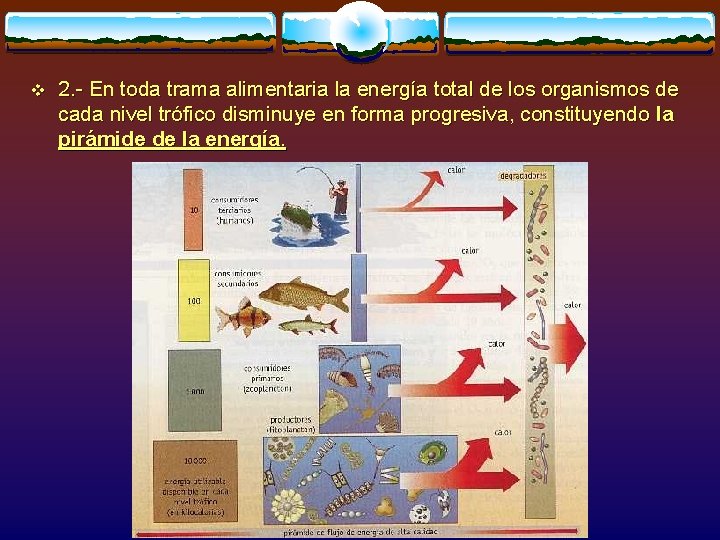 ECOSISTEMA COMUNIDAD METAPOBLACION INDIVIDUO POBLACION FLUJO GENETICO ...