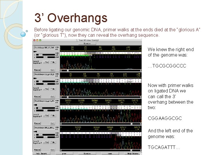 Finishing Phage Genomes How to identify circularly permuted
