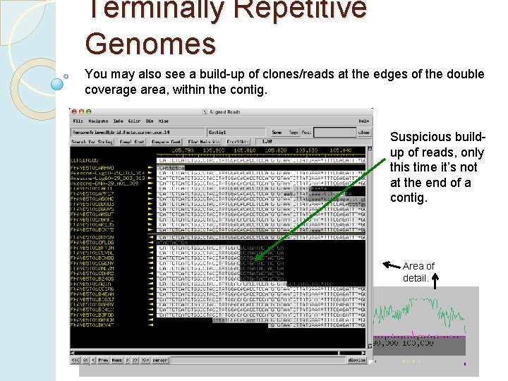 Finishing Phage Genomes How to identify circularly permuted