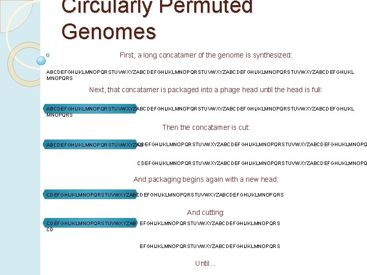 Finishing Phage Genomes How to identify circularly permuted