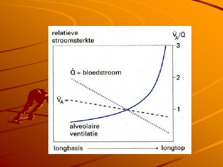 Fysiologie Hoorcollege blok 1 3 Longen en Luchtwegen
