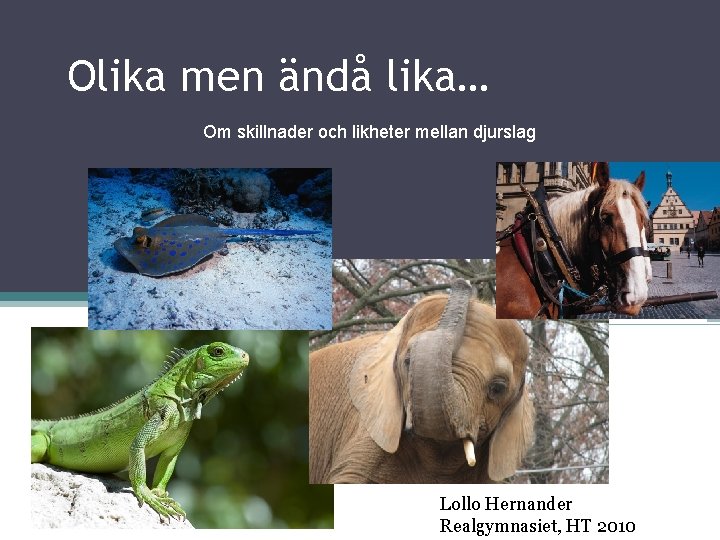Olika men nd lika Om skillnader och likheter