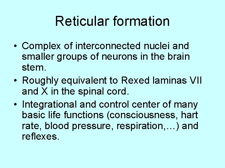 Brain Stem and Cerebellum Filip Barinka Brainstem Critically
