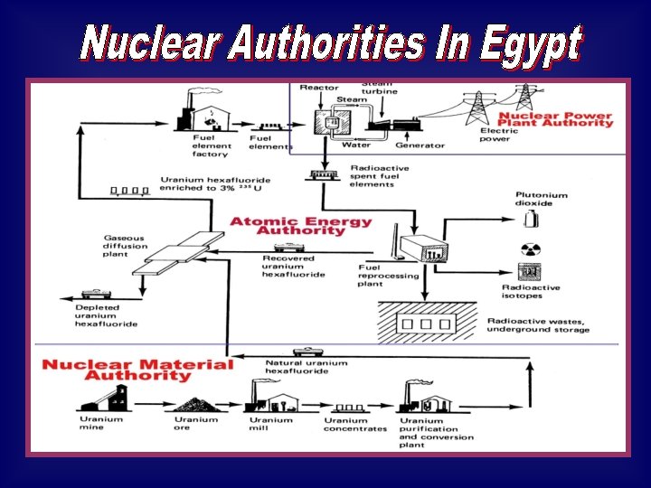 Waste Management System in Egypt Justification Minimization Segregation