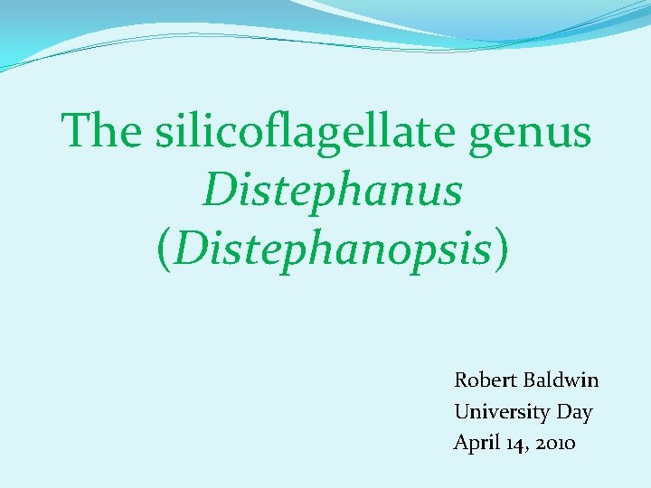 The silicoflagellate genus Distephanus Distephanopsis Robert Baldwin ...