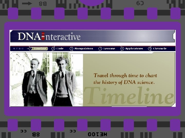 STRUCTURE OF DNA TOPIC 1 2015 YEAR 10