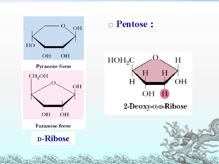 Chapter 5 Carbohydrate Metabolism Lecture 1 Lecture 2