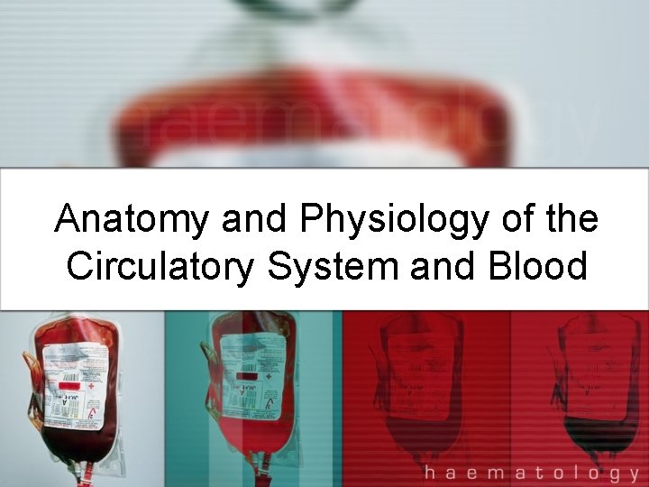 Anatomy and Physiology of the Circulatory System and