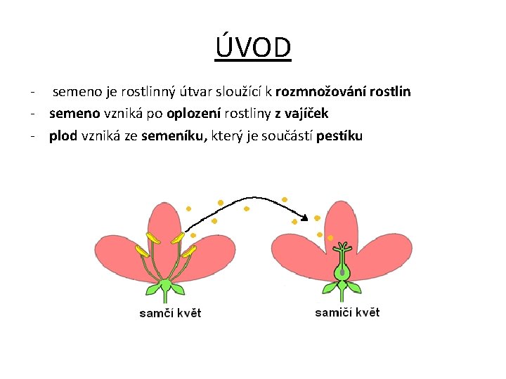 VY32INOVACE1519 Zkladn vzdlvn lovk a proda Prodopis Biologie