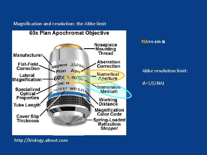Biophotonics lecture 16 November 2011 Magnification and resolution