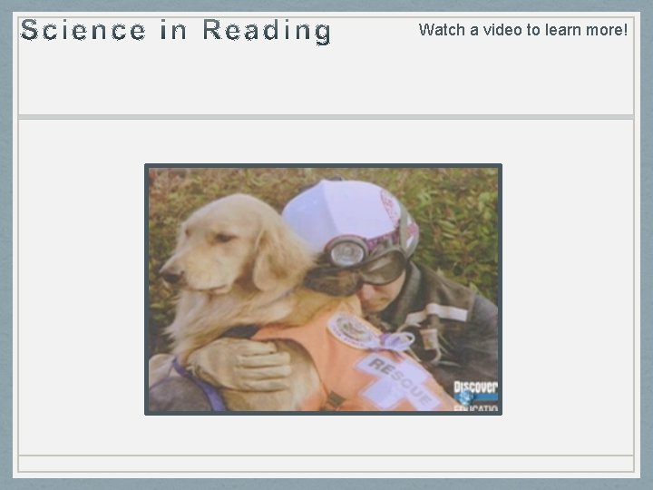 Tara and Tiree Fearless Friends Tara and Tiree