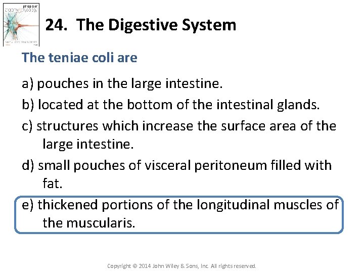 24 The Digestive System Which of the following