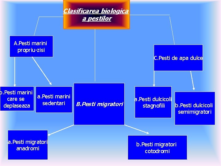Clasificarea biologica a pestilor A Pesti marini propriuzisi
