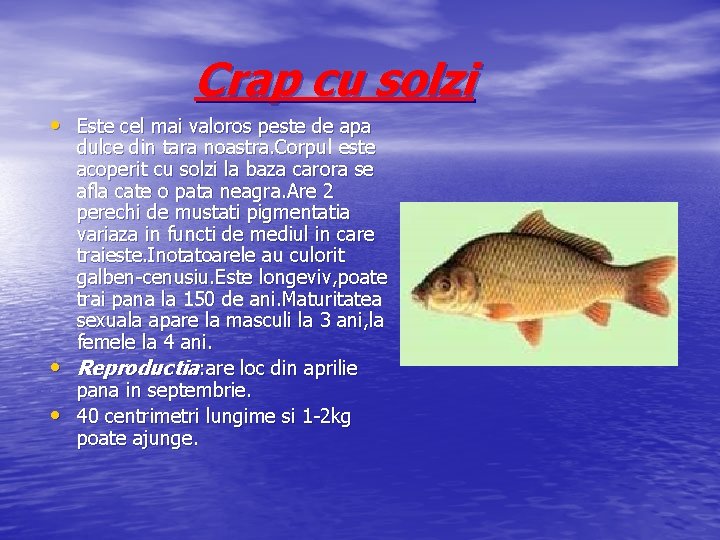 Clasificarea biologica a pestilor A Pesti marini propriuzisi