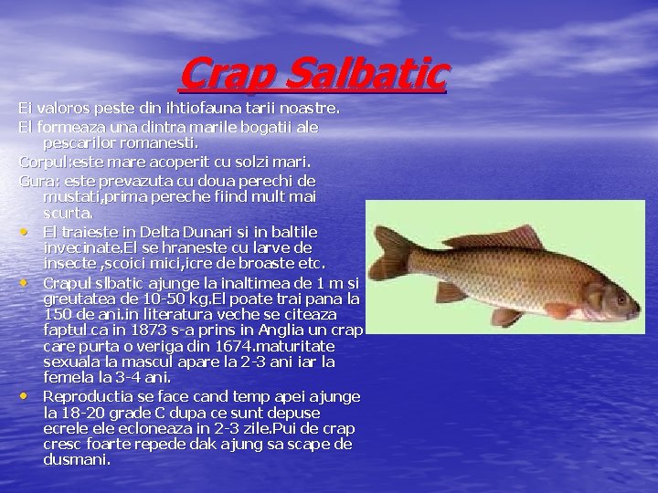 Clasificarea biologica a pestilor A Pesti marini propriuzisi