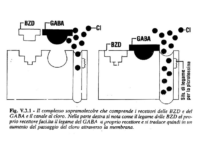 LE BENZODIAZEPINE ansiolitici ipnotici sedativi Ansia Stato emotivo