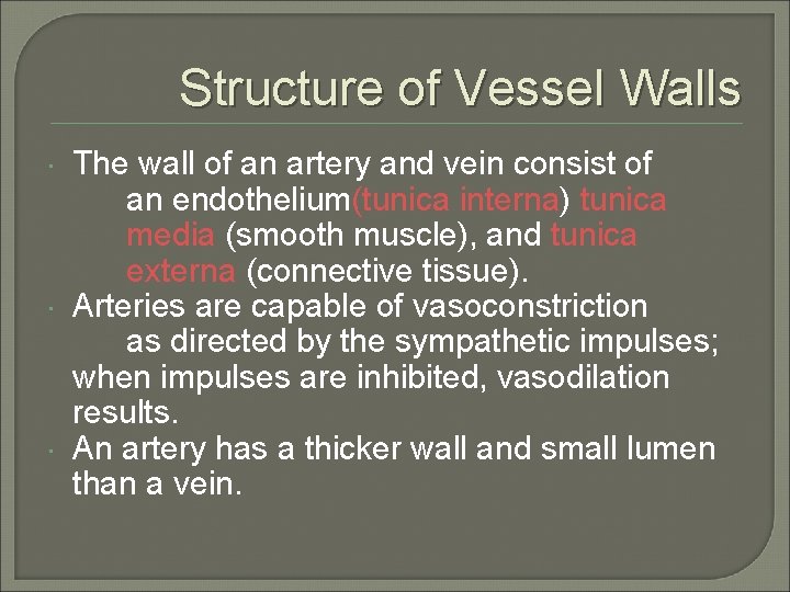Cardiovascular System Blood Vessels and Circulation Chapter 13
