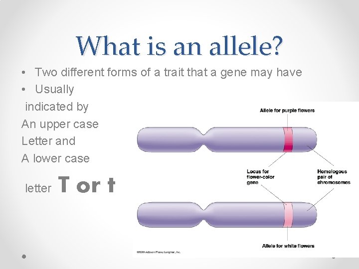 Genetics vocabulary Traits are determined by the genes