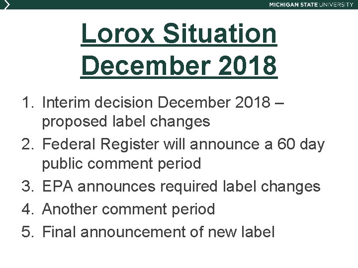 Celery Weed Control 2019 Bernard Zandstramsu edu 517