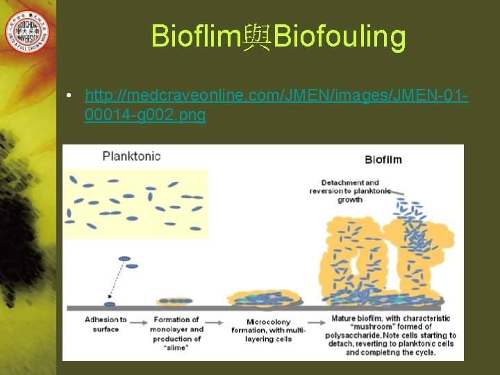 Biofouling Biofouling or biological fouling is the accumulation