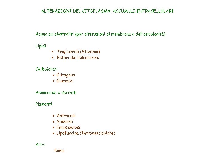 Rigonfiamento idropico di epatociti Rigonfiamento di cisterne del