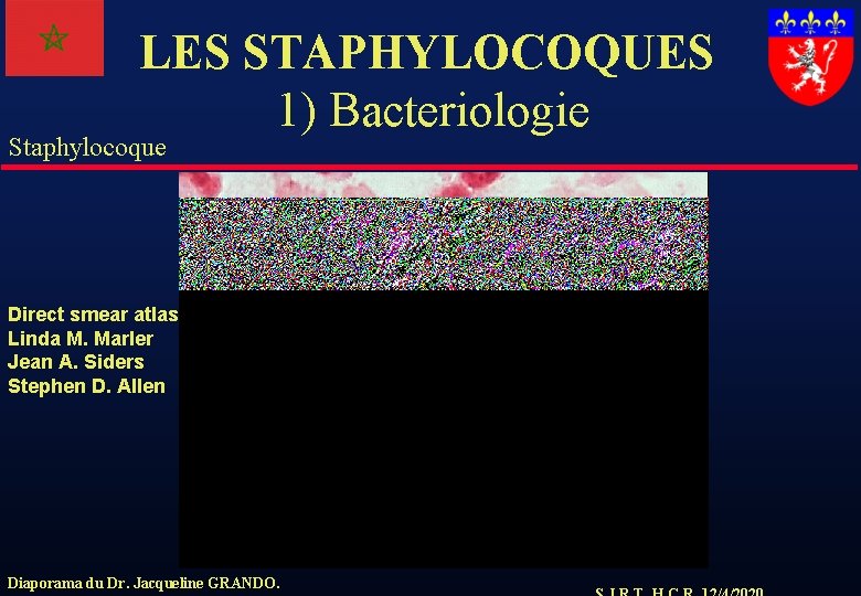 Staphylocoque Cours de Bactriologie Facult de Mdecine de