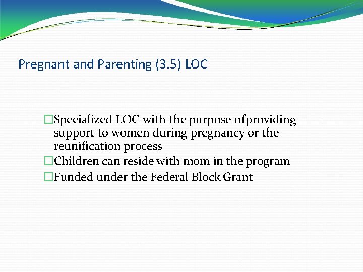 Accessing Substance Use Services Presenters Lisa Tepper Bates
