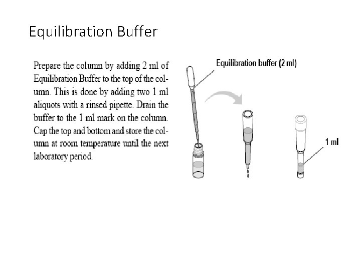 Purification of Green Fluorescent Protein NBC 2 Biomanufacturing