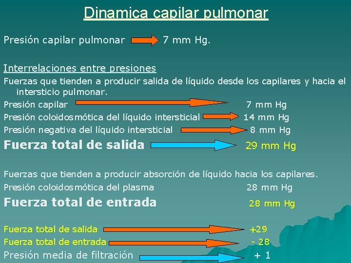 Circulacin pulmonar Anatomia fisiolgica del sistema pulmonar u