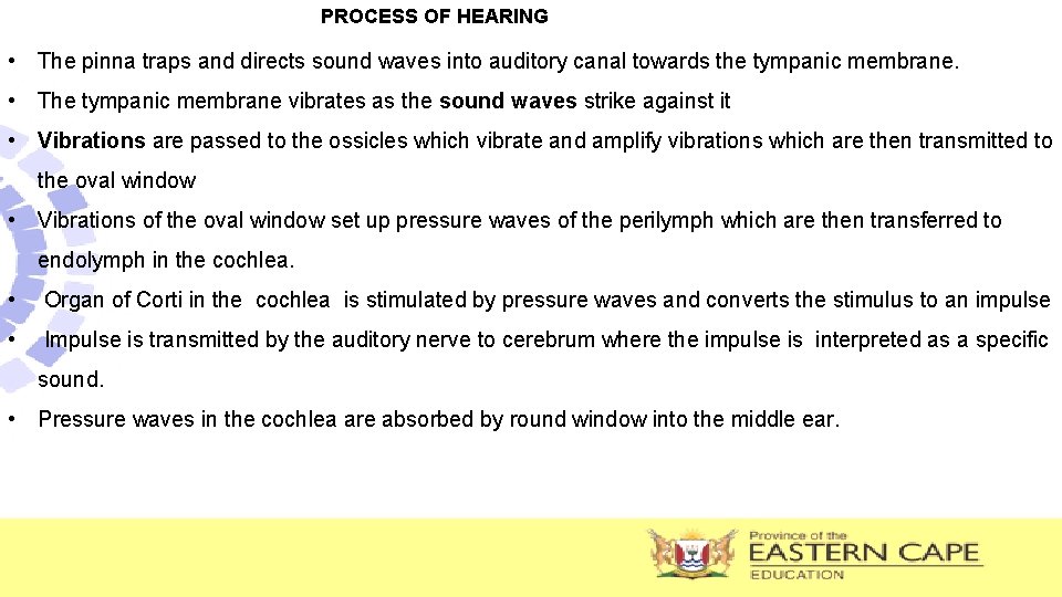 FUNCTIONING OF THE EAR IN HEARING AND BALANCE