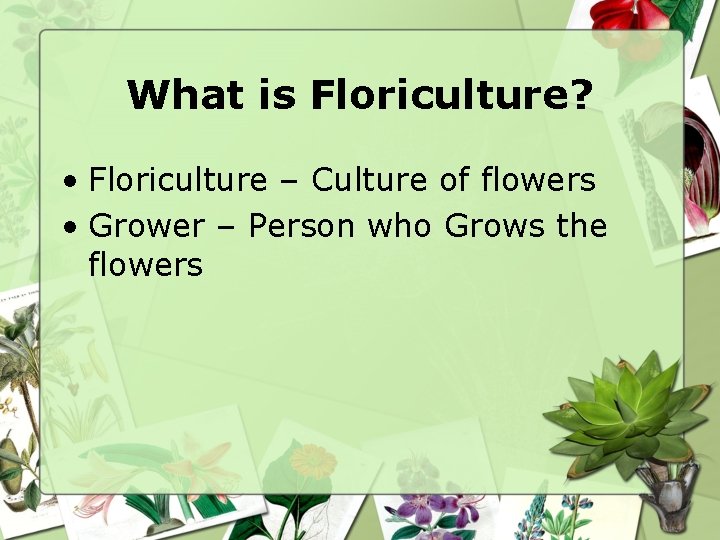 Student Learning Objectives Examine what is Floriculture Analyze