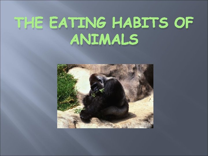 THE EATING HABITS OF ANIMALS Animals have to
