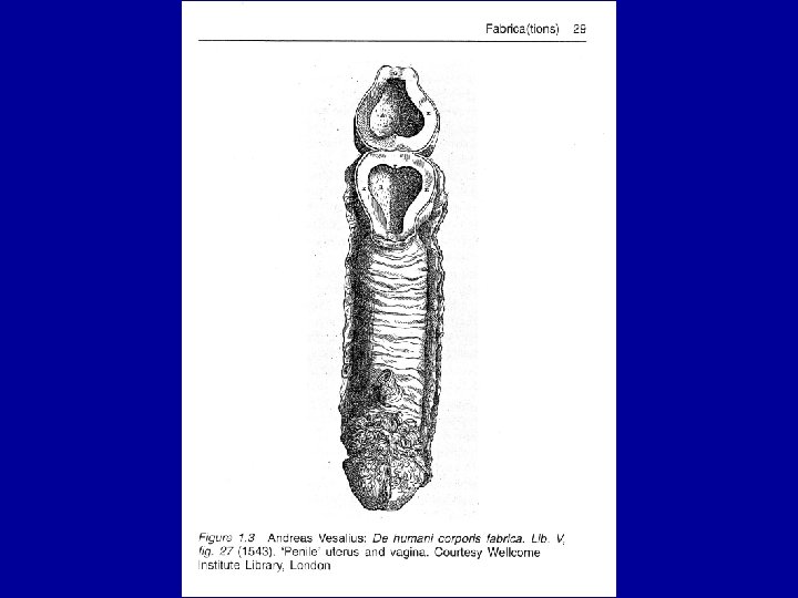 Gender and the Body Technologies of the Gendered