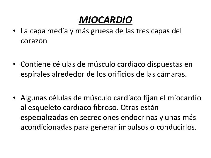 Sistema cardiovascular Professor Vernica Pantoja Lic MSP Tecnico
