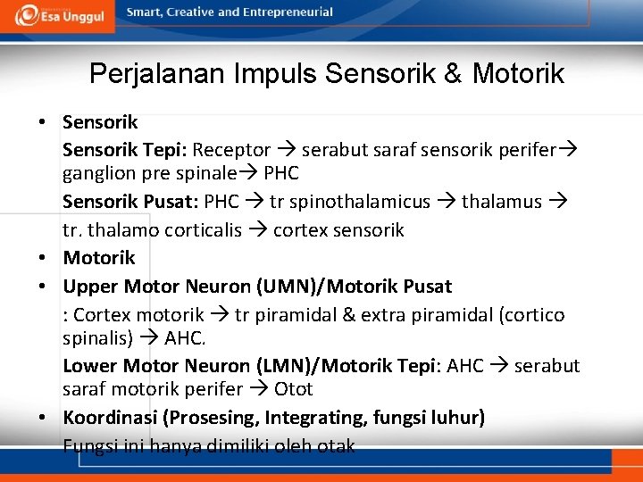 NEUROANATOMI dan FISIOLOGI OTAK PERTEMUAN KE 2 ABDUL