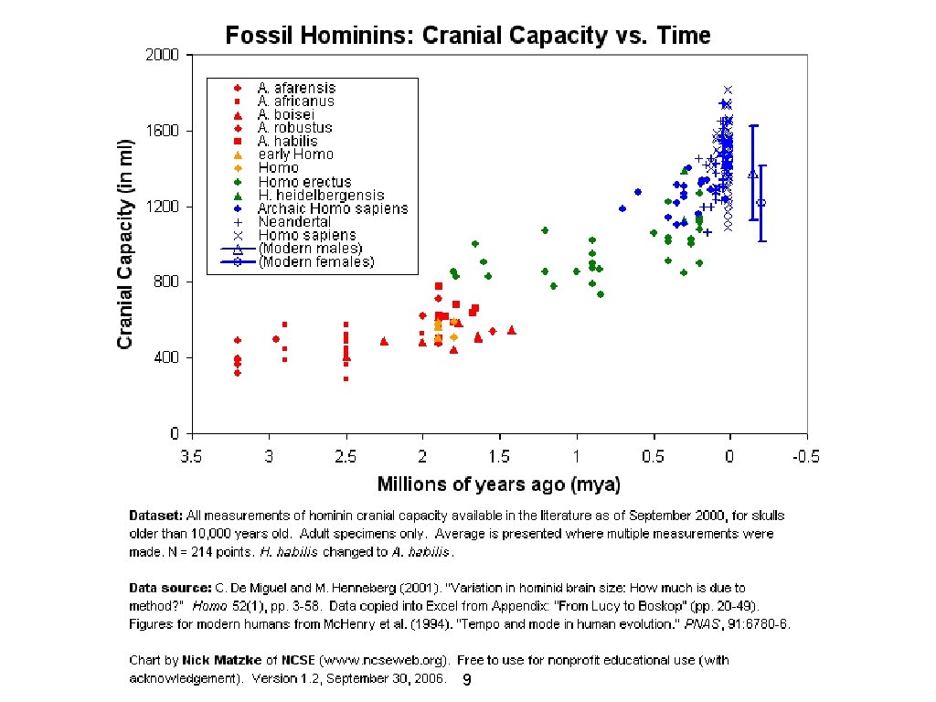 1 2 How diet affects the brain evolution