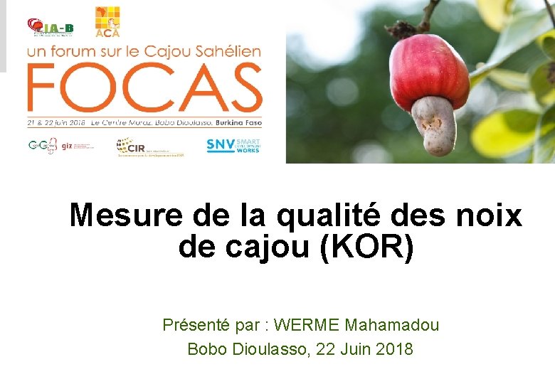 Mesure de la qualit des noix de cajou