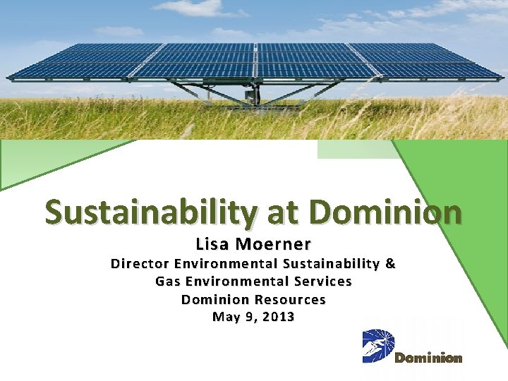 Sustainability at Dominion Lisa Moerner Director Environmental ...