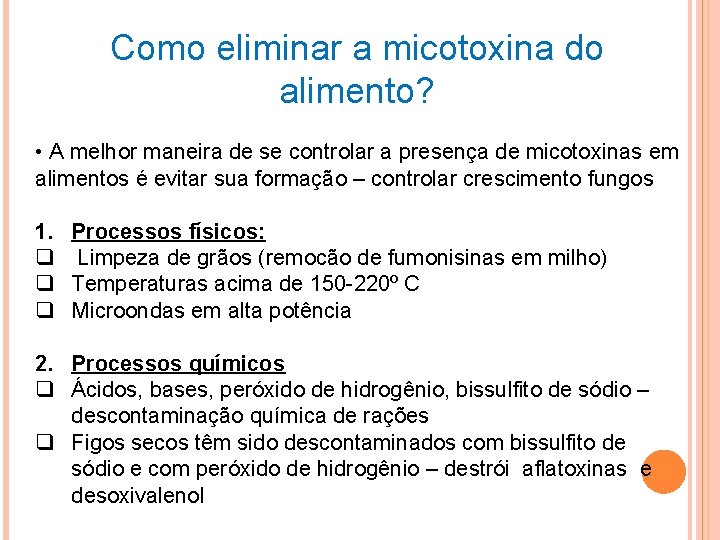 Fungo Aspergillus se desenvolve principalmente no milho MICOTOXINAS